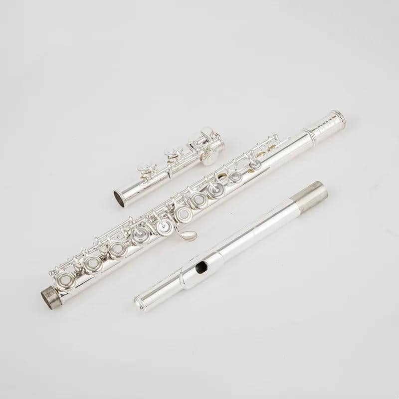 Muramatsu flauta, profesionalni glazbeni instrumenti od bakra i nikla s ...